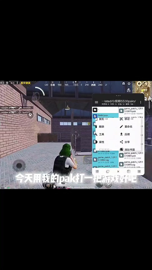 小月和平精英内部pakV2文件图标