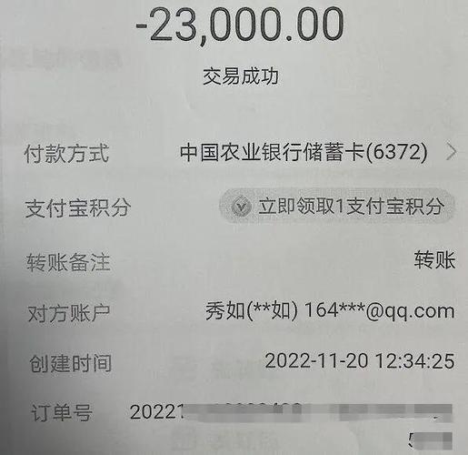 支付宝转账截图生成器看书版