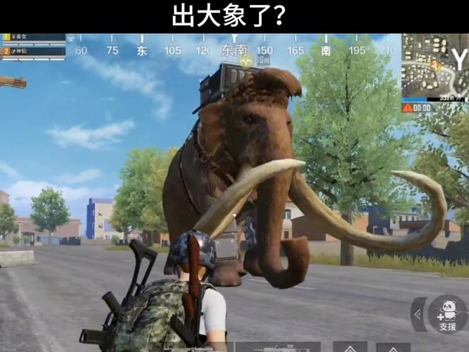 和平精英大象直装图标