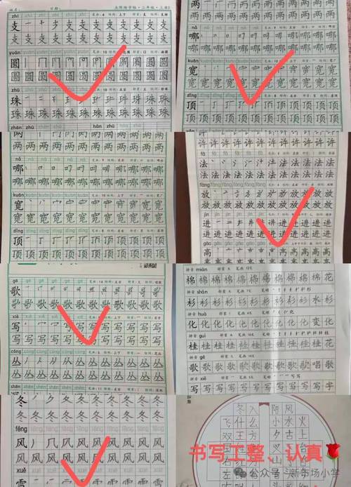 完美作业网免费视频广告手机搜狐图标