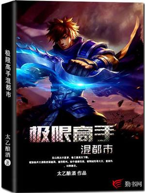 极限高手小说完美版