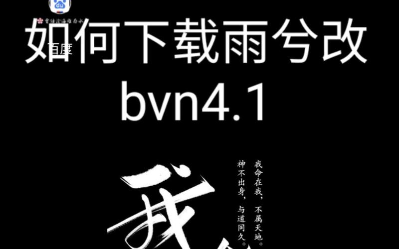 雨兮改版bvn完整版图标