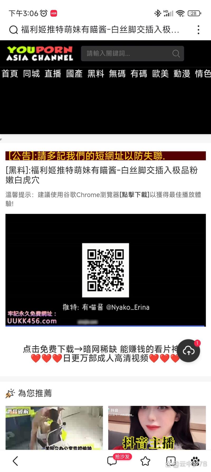 白虎网客户端图标