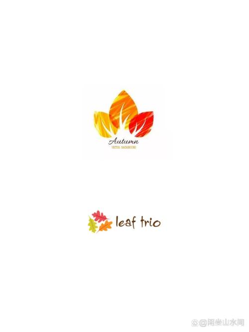 落叶小说图标