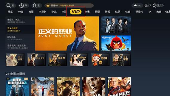 华数TV破解免升级版本绿色版汉化版截图