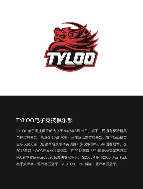 辉煌电竞软件福利版截图