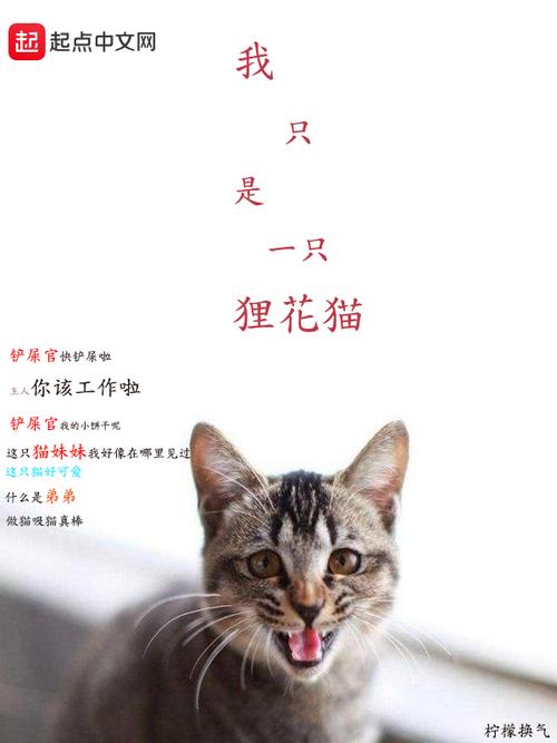 花猫小说最新版免广告版截图