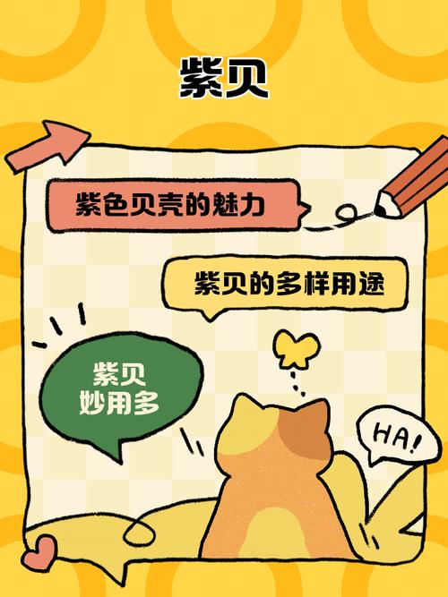 紫贝阅读最新版截图