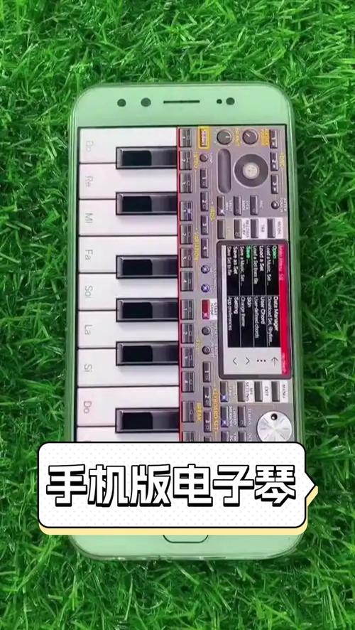 手机2025电子琴安装手机在线观看