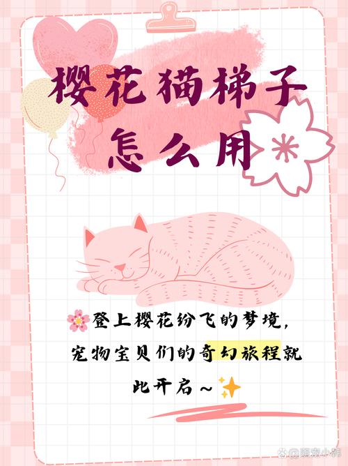 樱花猫梯子安装包截图