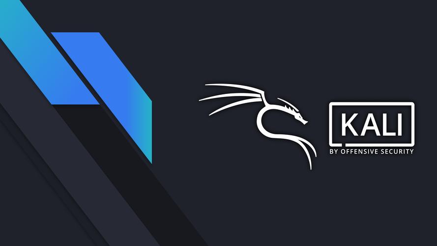 kalilinux安装视频看书版图标