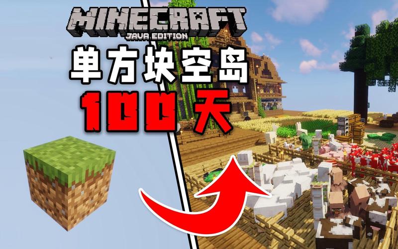 双人空岛生存100天