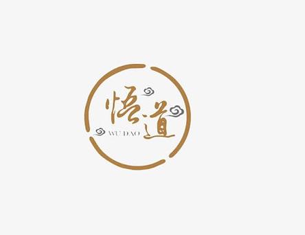 悟道助手6.0图标