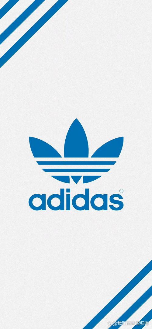 三叶草加速器安装图标