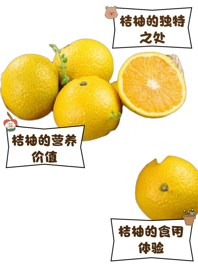 桔柚小视频截图