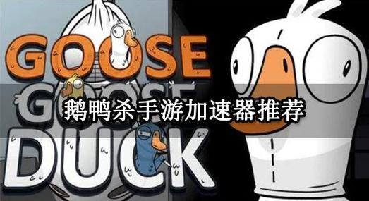 快鸭加速器版图标