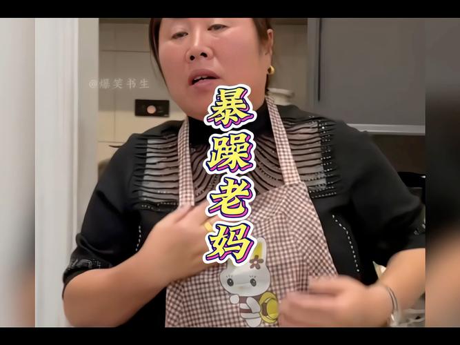 暴躁老妈的视频素材破解版