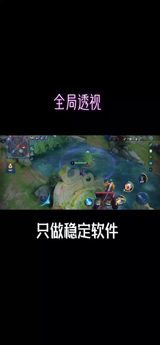 王者内透脚本图标