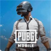 pubg轻量版北辰轻体直装图标
