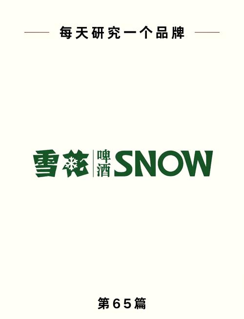 雪花内核辅助官网图标