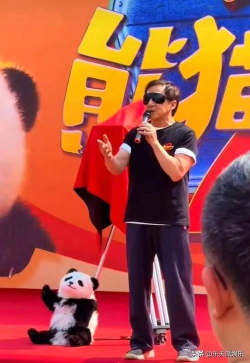 panda activate熊猫映射激活红色版图标