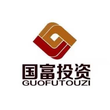 国富产二代图标