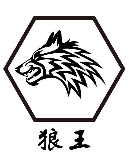 狼王v9.0授权最新版【附使用教程】图标