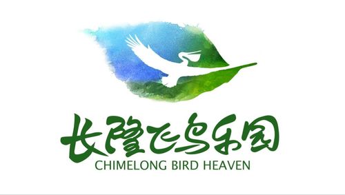 飞鸟乐园红包版截图
