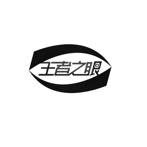 王者之眼辅助