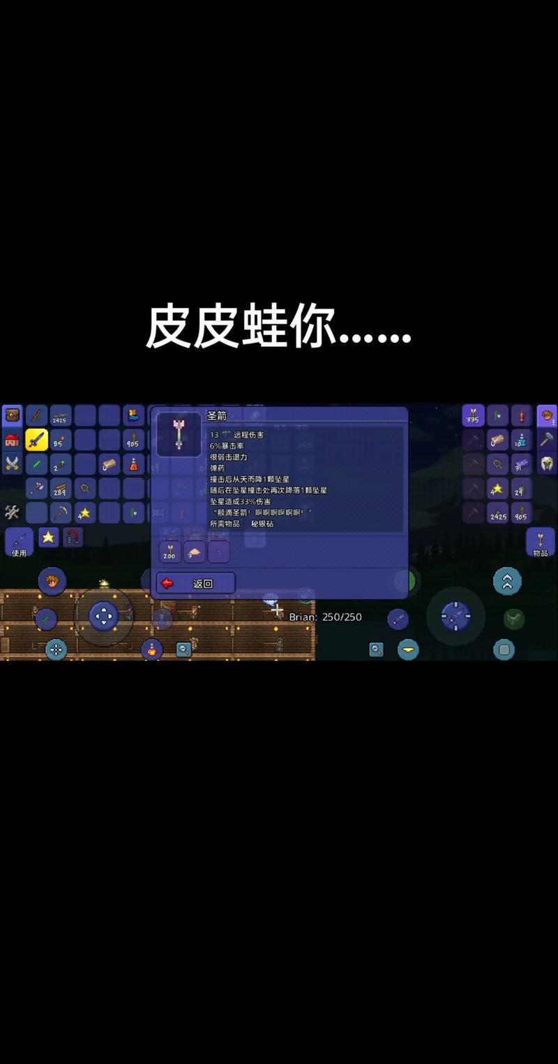 泰拉瑞亚一只皮皮蛙翻译