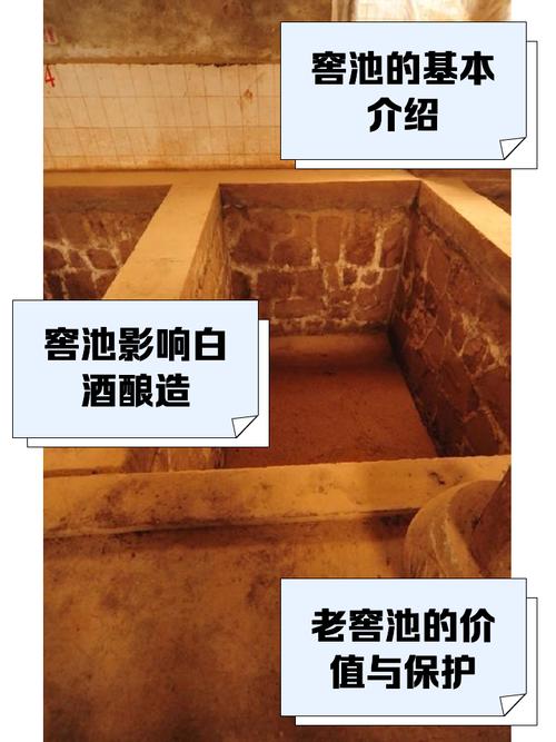 窖池视频抢先版