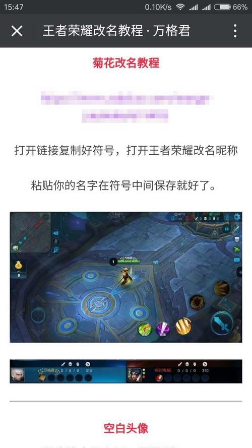 王者荣耀最新空白代码截图