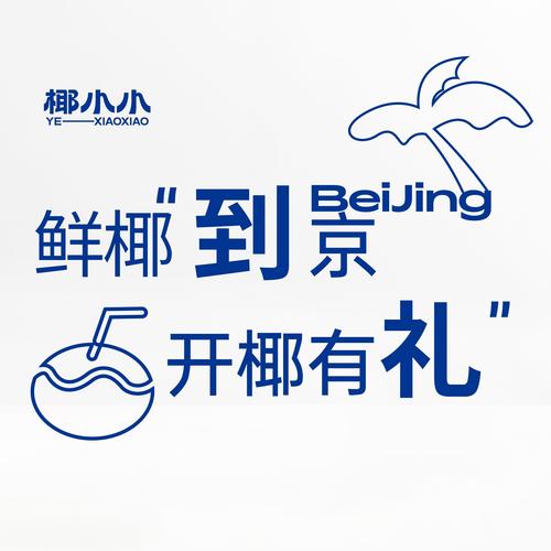 椰子赚app图标