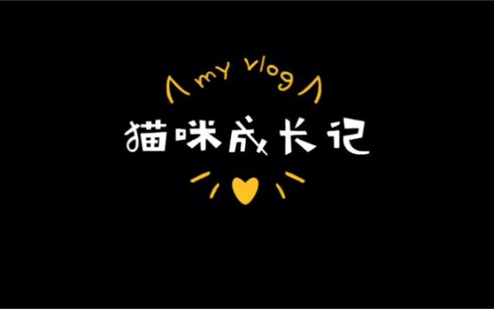 猫咪成长记图标