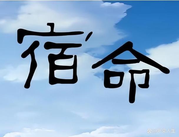 宿命论安卓图标