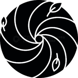 旋风永久免费加速破解黑色老版截图