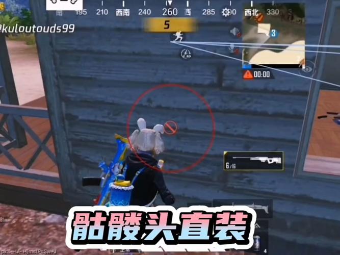 和平精英骷髅头直装提现版