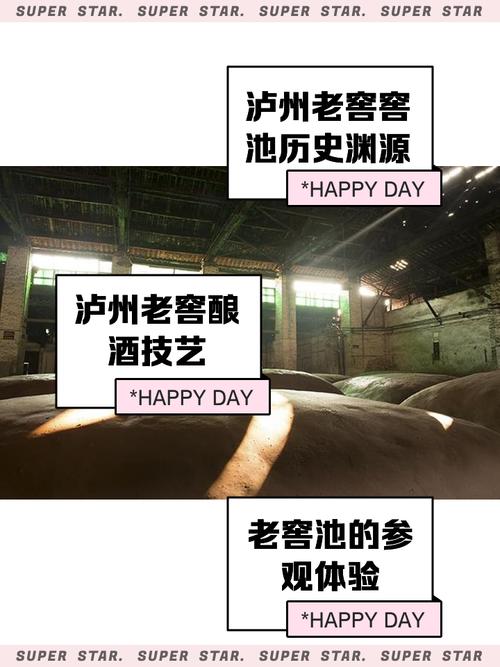 窖池视频抢先版截图