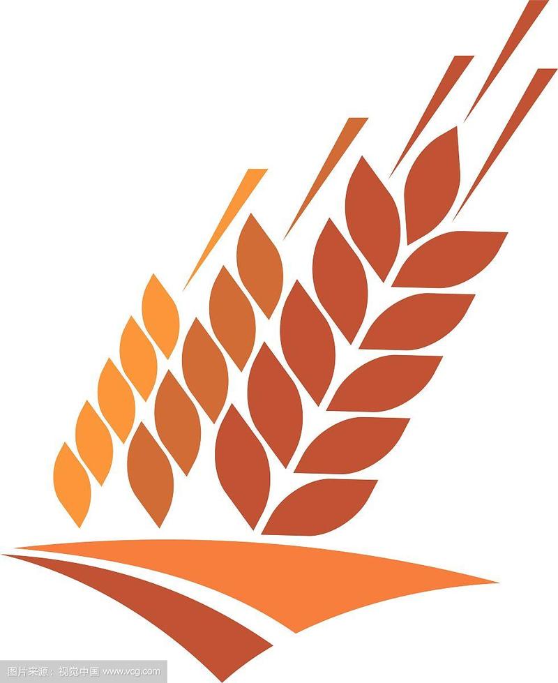 丰收大麦田图标