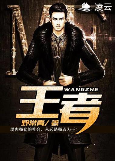 王者小说无删减版图标