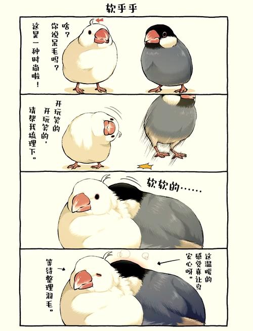 鸟鸟韩漫图标