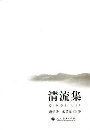 清流小说图标