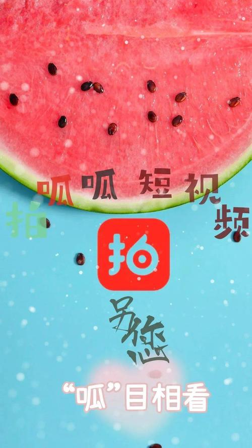 拍呱呱短视频app安装最新版拍呱呱短视频App安装最新消息图标