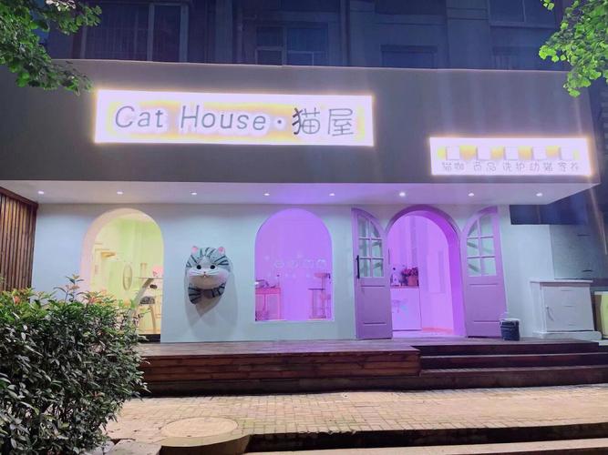 猫屋影院紫色版