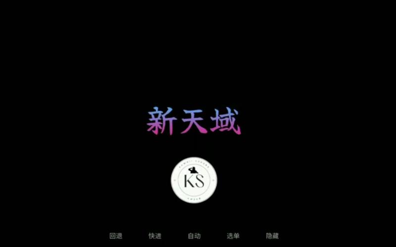 新天域安卓汉化版图标