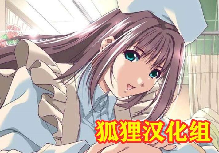 狐狸汉化组的20部直装游戏国际版图标
