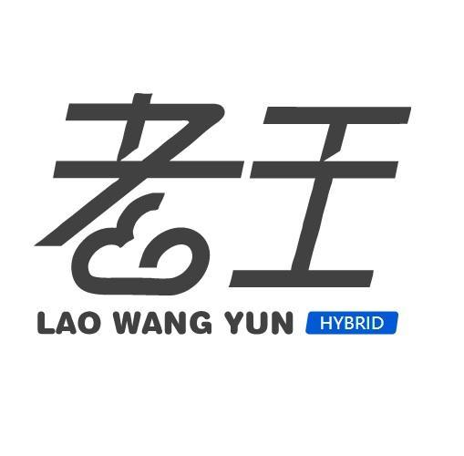 老王纯净无广告版图标