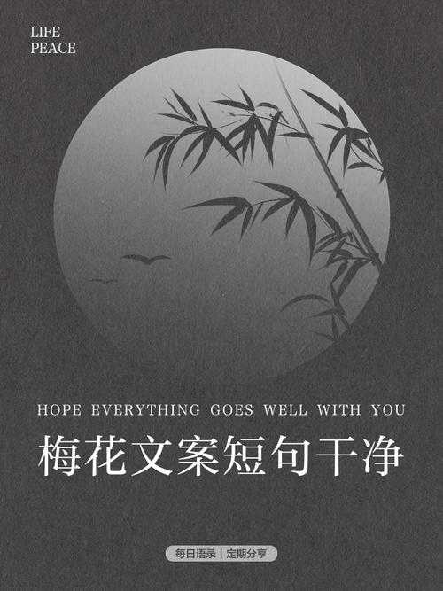 梅花网文案短句干净免费阅读图标
