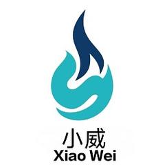 小威国体框架图标