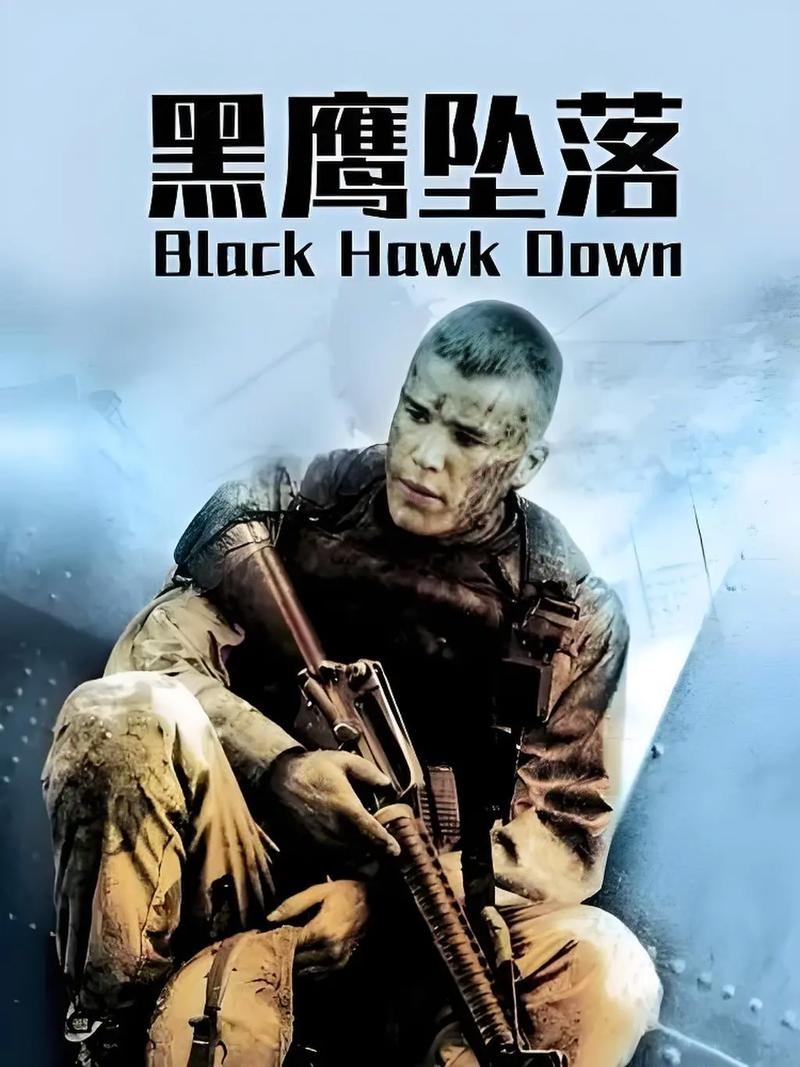 黑鹰坠落高清分辨率图片图标